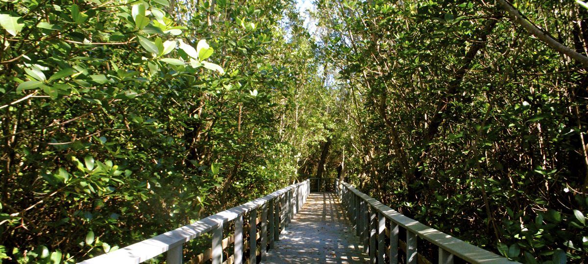 Deerfield Island Park