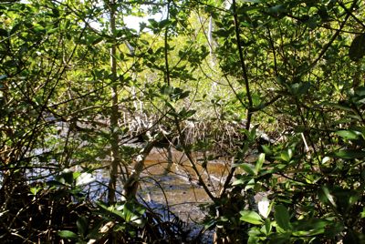 Deerfield Island Park